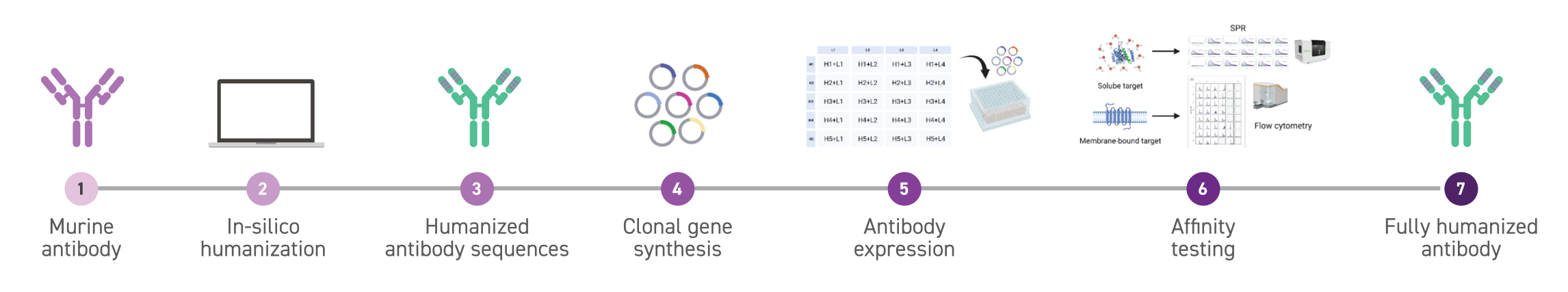 In Silico Antibody Humanization | Twist Bioscience